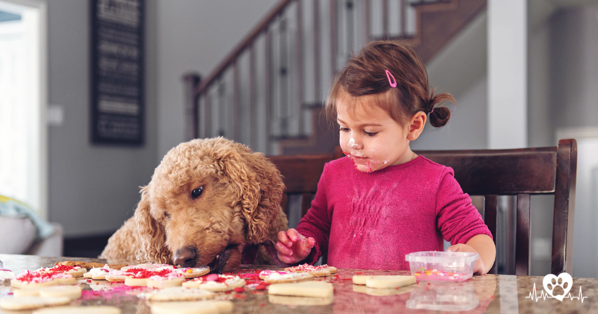 Share Valentine's Day With Your Pet! | Taconic Veterinary Center